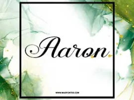 Aaron Script: Baixar Fonte Grátis | MaisFontes