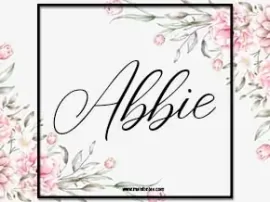 Abbie Bold: Free Font Download | MaisFontes