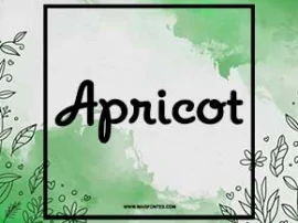 Apricot Font: Free Download | MaisFontes
