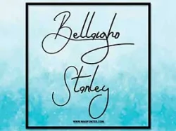 STHupo：免费字体下载 | MaisFontes