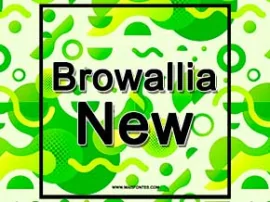 Browallia New: Baixar Fonte Grátis | MaisFontes