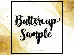 Carelia Upright Font: Free Download | MaisFontes