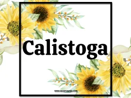 Calistoga Regular: Free Font Download | MaisFontes