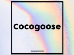 Fraunces 9pt Regular: Free Font Download | MaisFontes