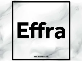 Effra Bold Font: Free Download | MaisFontes