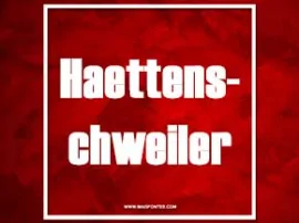 Haettenschweiler Font: Free Download | MaisFontes