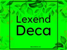 Lexend Deca Regular: Free Font Download | MaisFontes