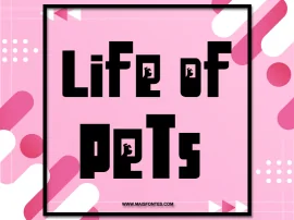 Life of Pets Font: Free Download | MaisFontes
