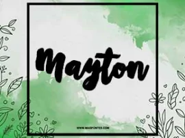 Mayton: Free Font Download | MaisFontes