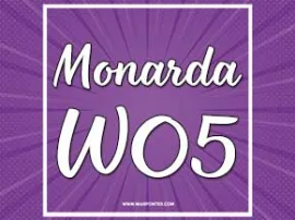 Monarda W05 Regular: Baixar Fonte Grátis | MaisFontes