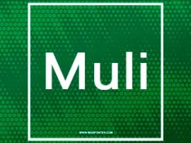 Muli Font: Free Download | MaisFontes