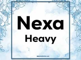 Nexa Heavy Font: Free Download | MaisFontes