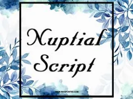 Nuptial Script: Free Font Download | MaisFontes