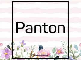 Panton Font: Free Download | MaisFontes