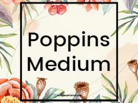Poppins Medium: Télécharger une police gratuite | MaisFontes