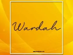 Wardah: Free Font Download | MaisFontes