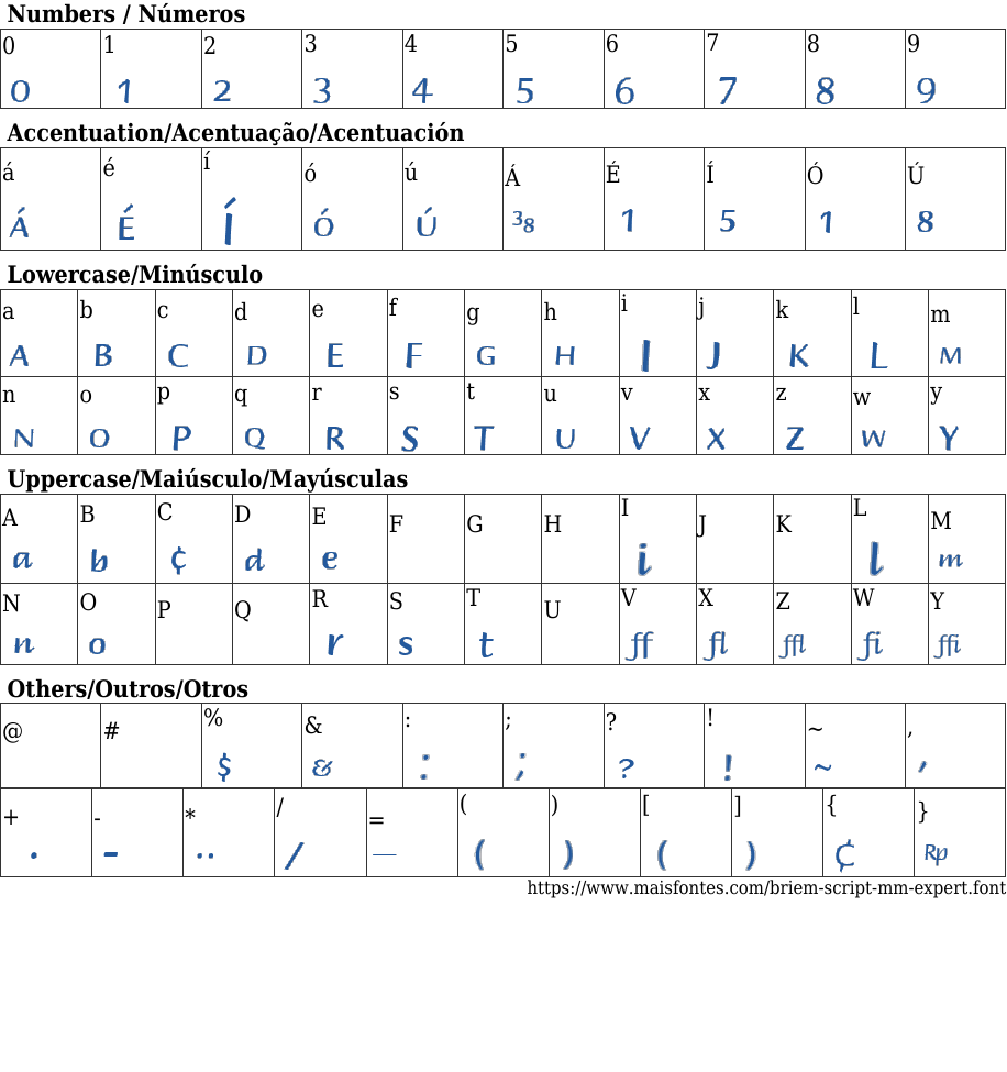 Briem Script MM Expert: Free Font Download | MaisFontes