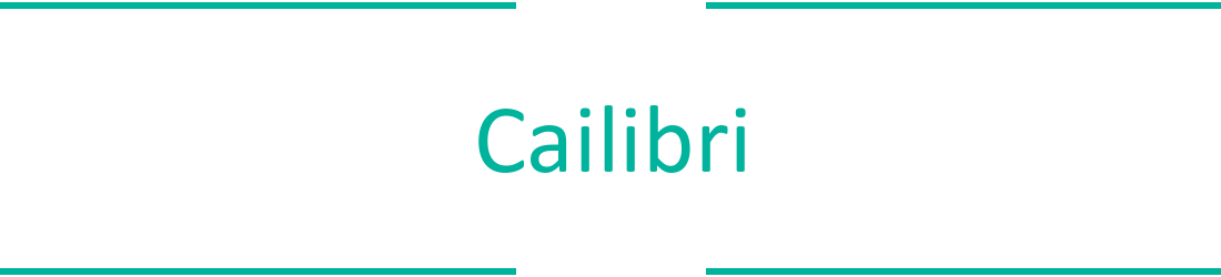 Calibri Bold Font: Free Download | MaisFontes