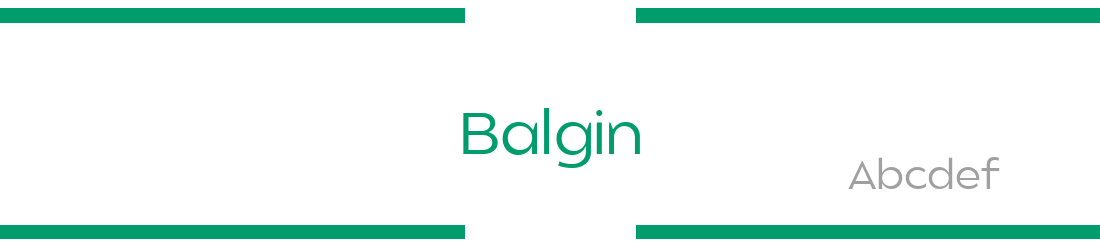 Balgin Regular Font: Free Download | MaisFontes