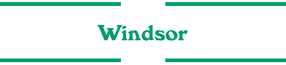 Windsor BOLD: Download Free Font | MaisFontes