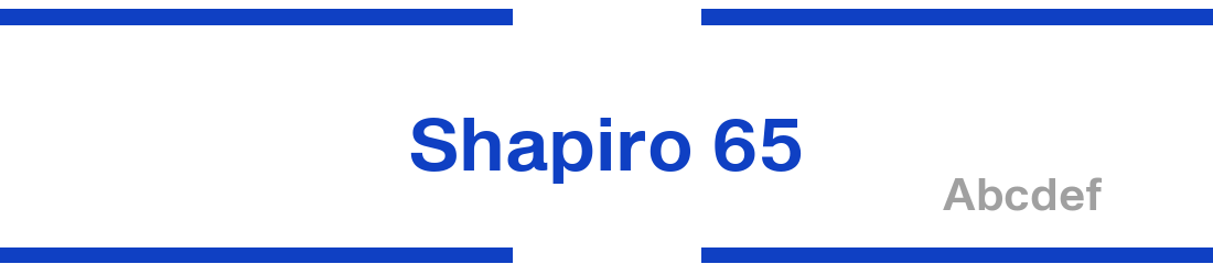 Shapiro 65 Light Heavy: Download Free Font | MaisFontes