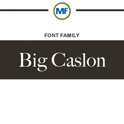 Download Big Caslon Fonts | MaisFontes