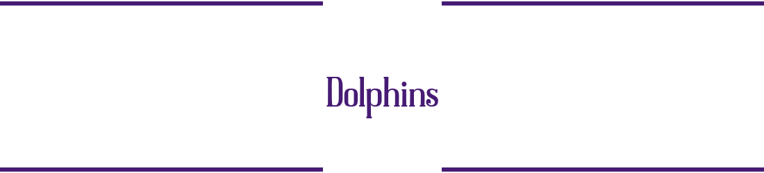 Dolphins Regular: Free Font Download | MaisFontes