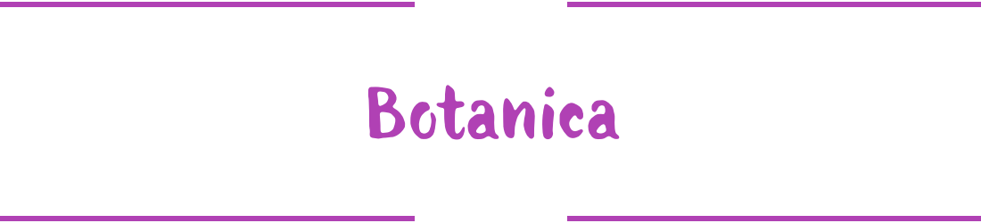 Botanica Font Family: Free Download | MaisFontes