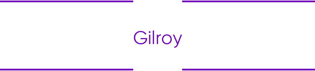 Gilroy Bold Font: Free Download | MaisFontes