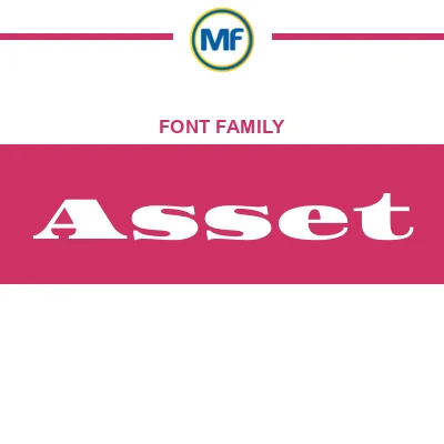 Asset Font Family: Download Free (Google Fonts) | MaisFontes