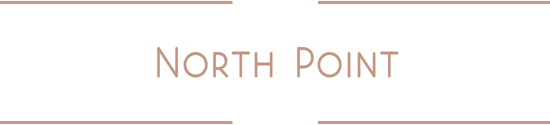 North Point Bold Font: Free Download | MaisFontes
