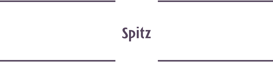 Linotype Spitz Font Family: Free Download | MaisFontes
