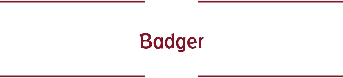 Badger Bold: Free Font Download | MaisFontes