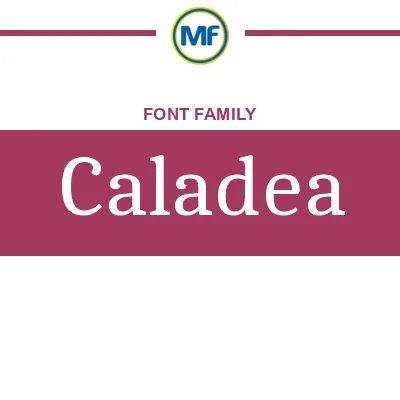 Download Caladea Fonts (Google Fonts) | MaisFontes