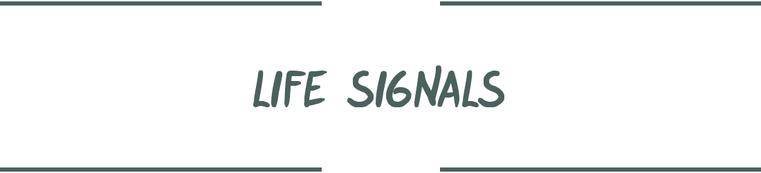 Life signals Bold: Free Font Download | MaisFontes