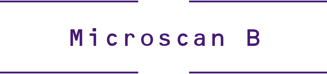 Microscan B: Free Font Download | MaisFontes