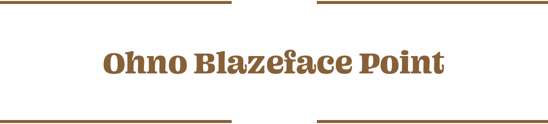 Ohno Blazeface Point Font Family: Free Download | MaisFontes