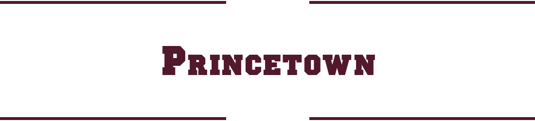 Princetown Std: Download Free Font | MaisFontes