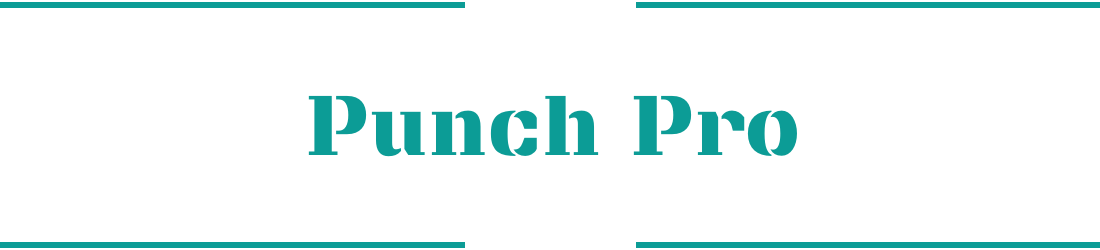 Punch Pro Font Family: Free Download | MaisFontes