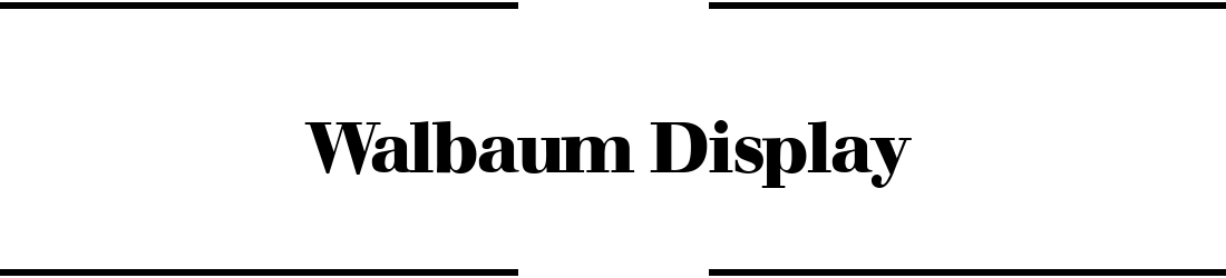 Walbaum Display: Free Font Download | MaisFontes