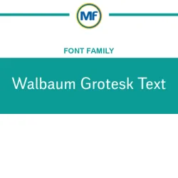 Walbaum Grotesk Text Bold: Free Font Download | MaisFontes