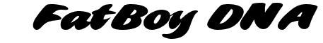 1 FatBoy DNA Font: Free Download | MaisFontes