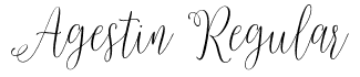 Agestin Regular: Free Font Download | MaisFontes