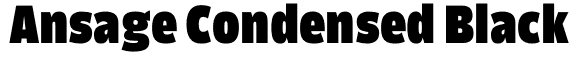 Ansage Bold Font: Free Download | MaisFontes