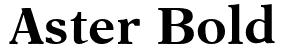 Aster Bold Font: Free Download | MaisFontes