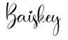 Baiskey Font: Free Download | MaisFontes