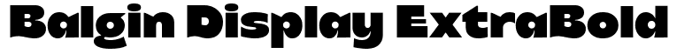 Balgin Display Bold: Free Font Download | MaisFontes