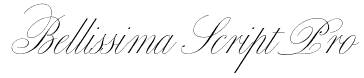 Bellissima Script Pro font download | MaisFontes.com