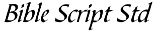 Bible Script Std: Download Free Font | MaisFontes