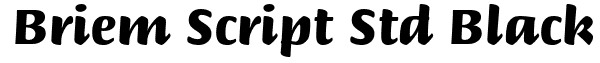 Briem Script Std Black Font: Free Download | MaisFontes